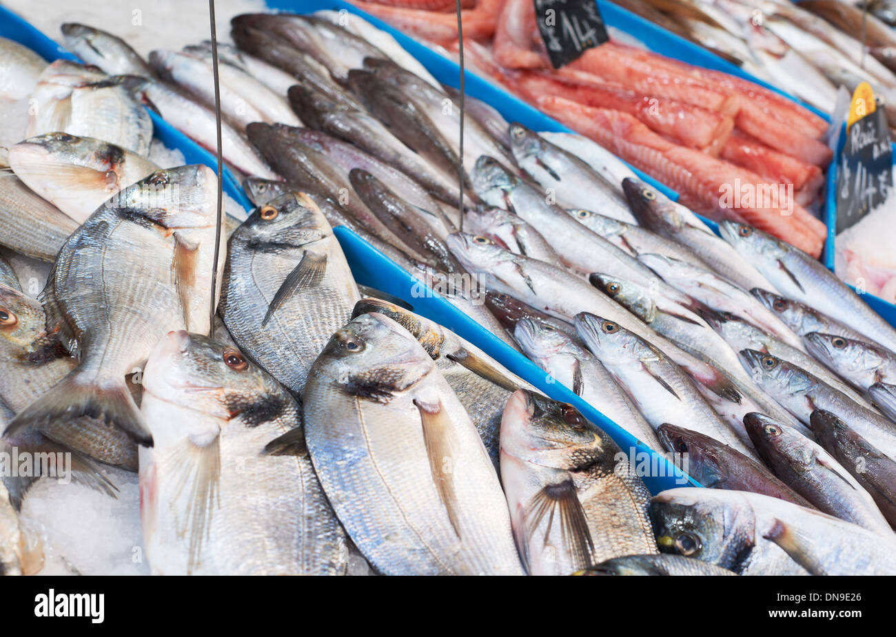 Fresh fish on sea food market stall in Provence, France Stock Photo - Alamy
