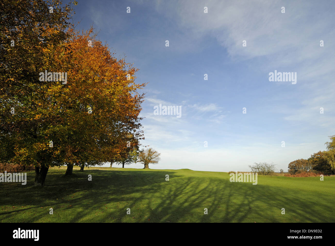 Knole park golf club view hi-res stock photography and images - Alamy