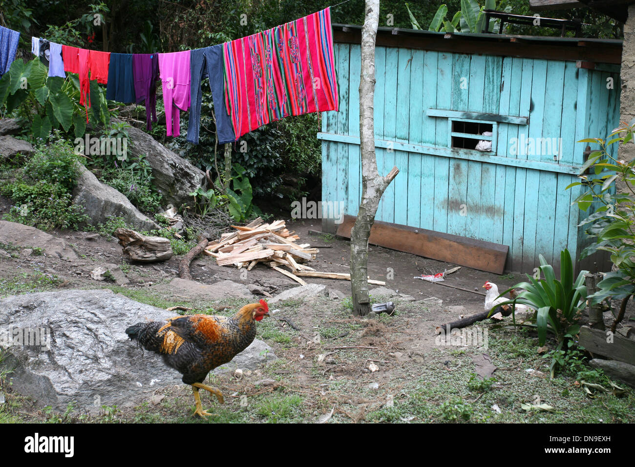 Peruvian peru poverty poor hi-res stock photography and images - Alamy