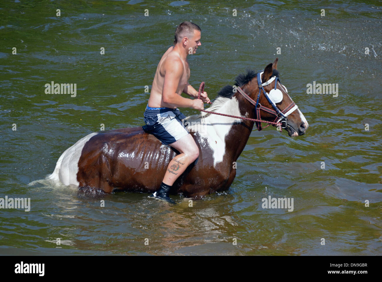 Gypsy traveller riding horse in River Eden. Appleby Horse Fair, June ...