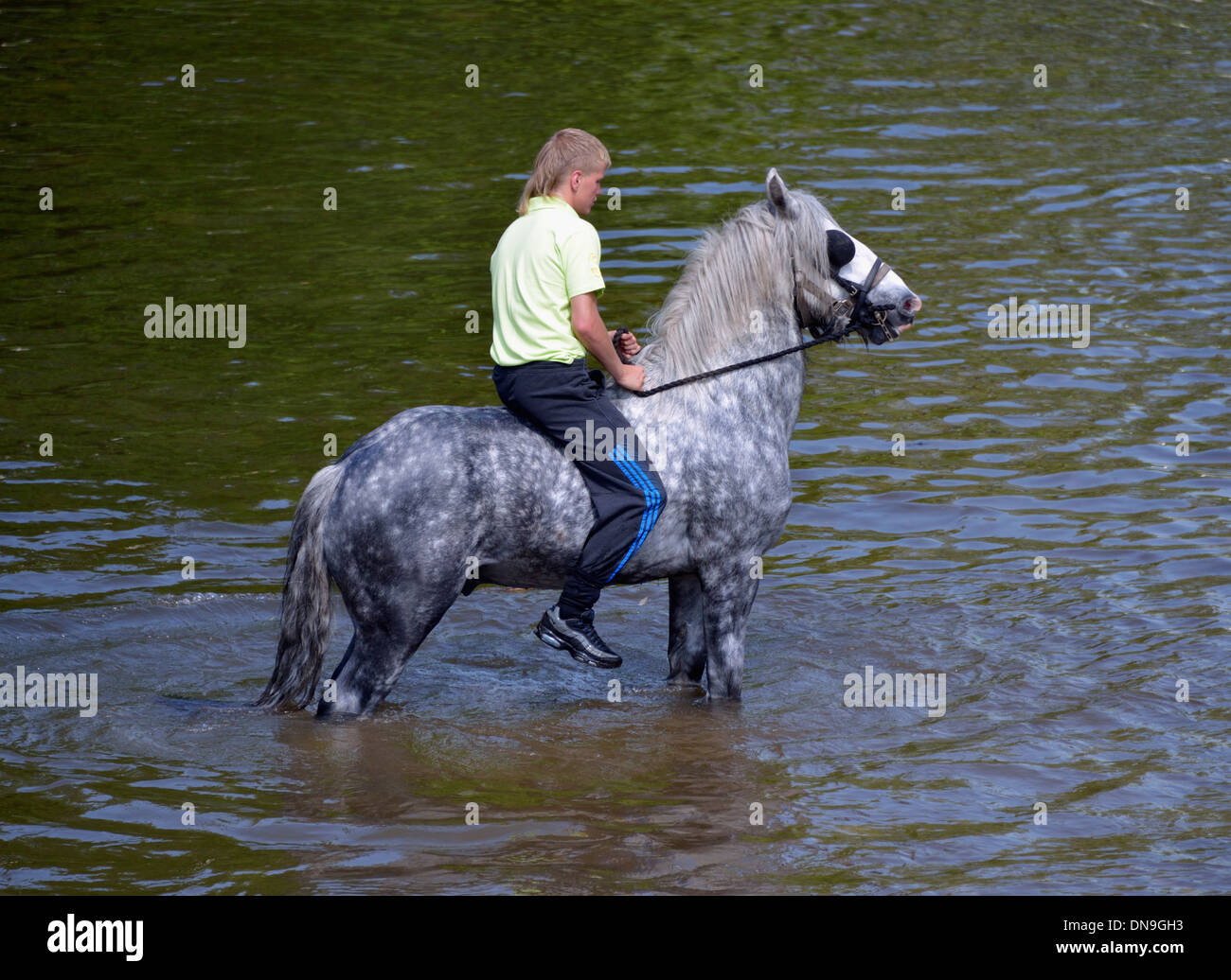 Gypsy traveller riding horse in River Eden. Appleby Horse Fair, June ...