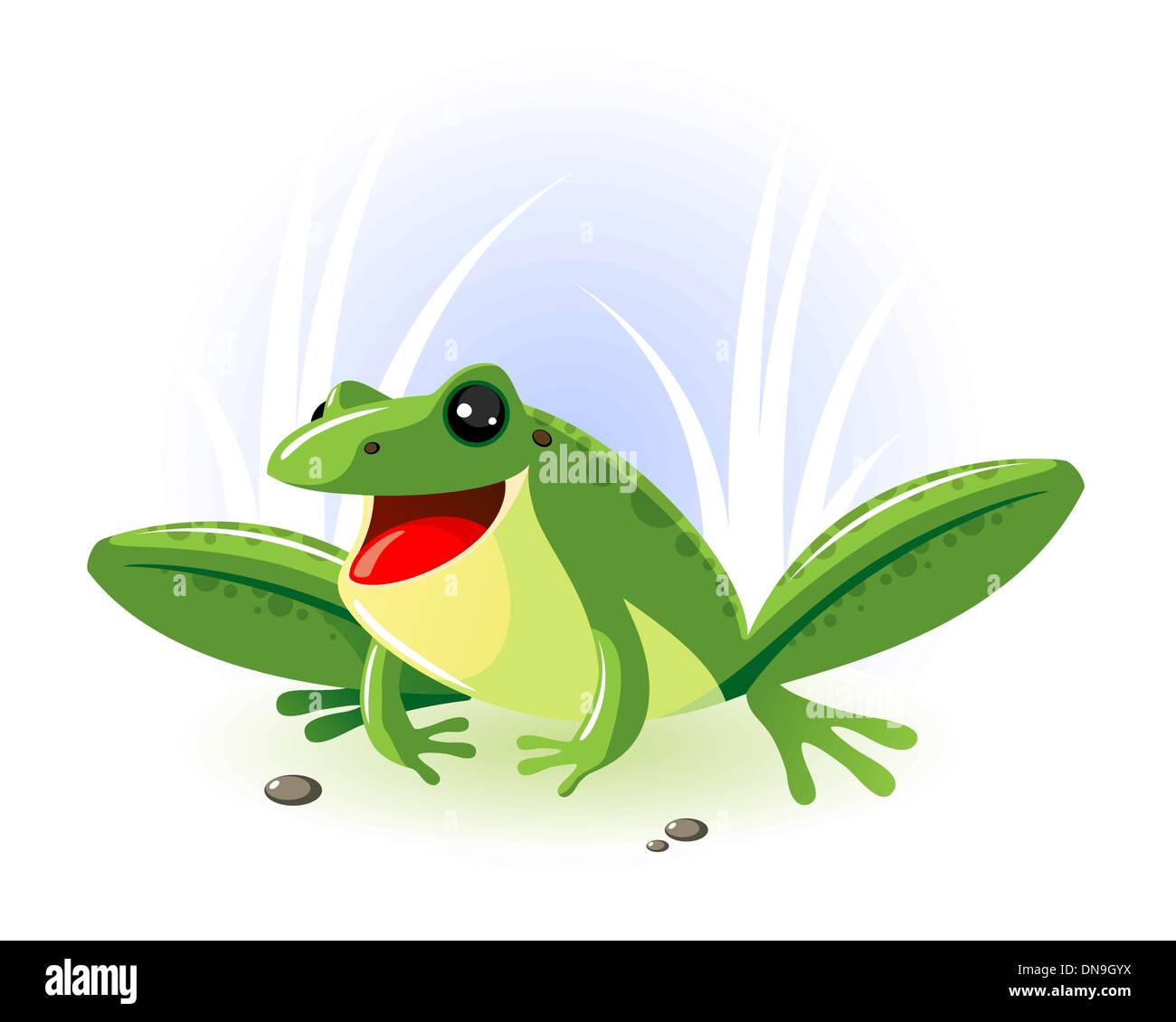 Swamp frog hi-res stock photography and images - Alamy