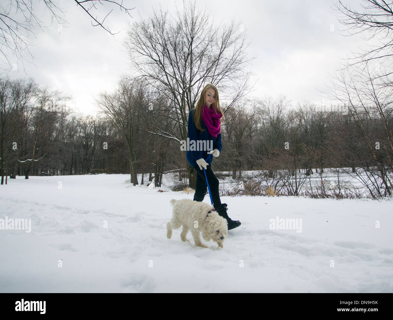 Red Tank Top Girl Walking Dogs