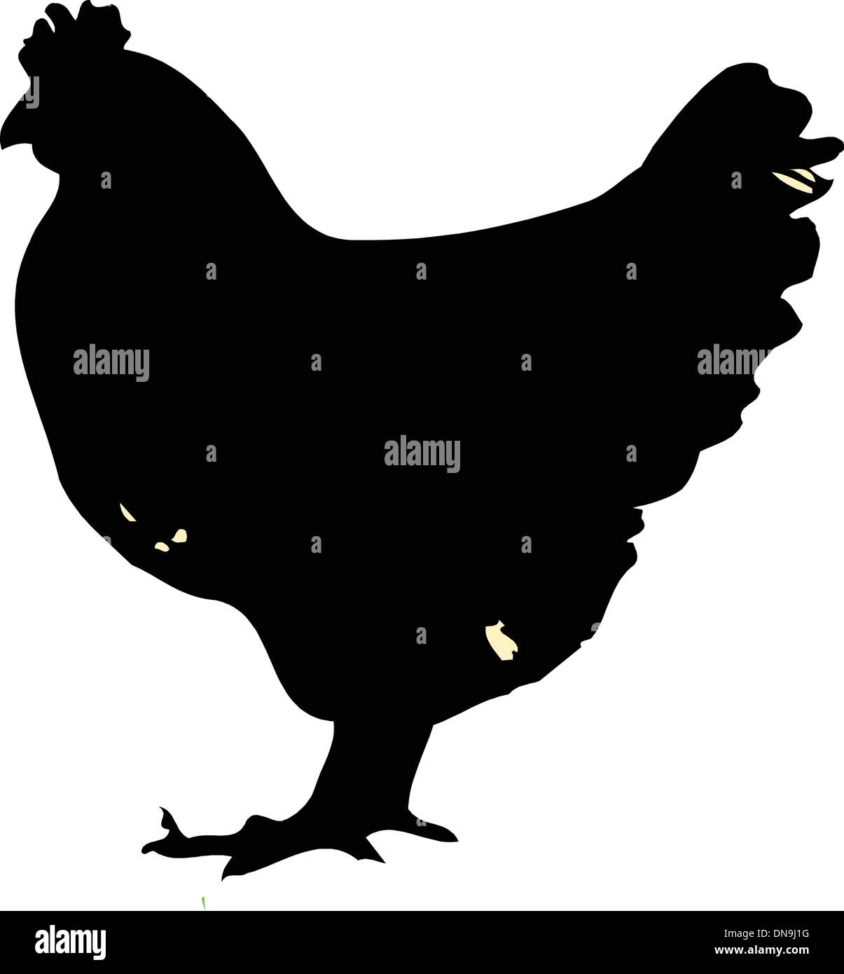 Chicken beak Stock Vector Images - Alamy