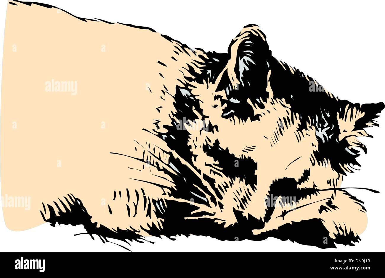 Fluffy cat sitting isolated Stock Vector Images - Alamy