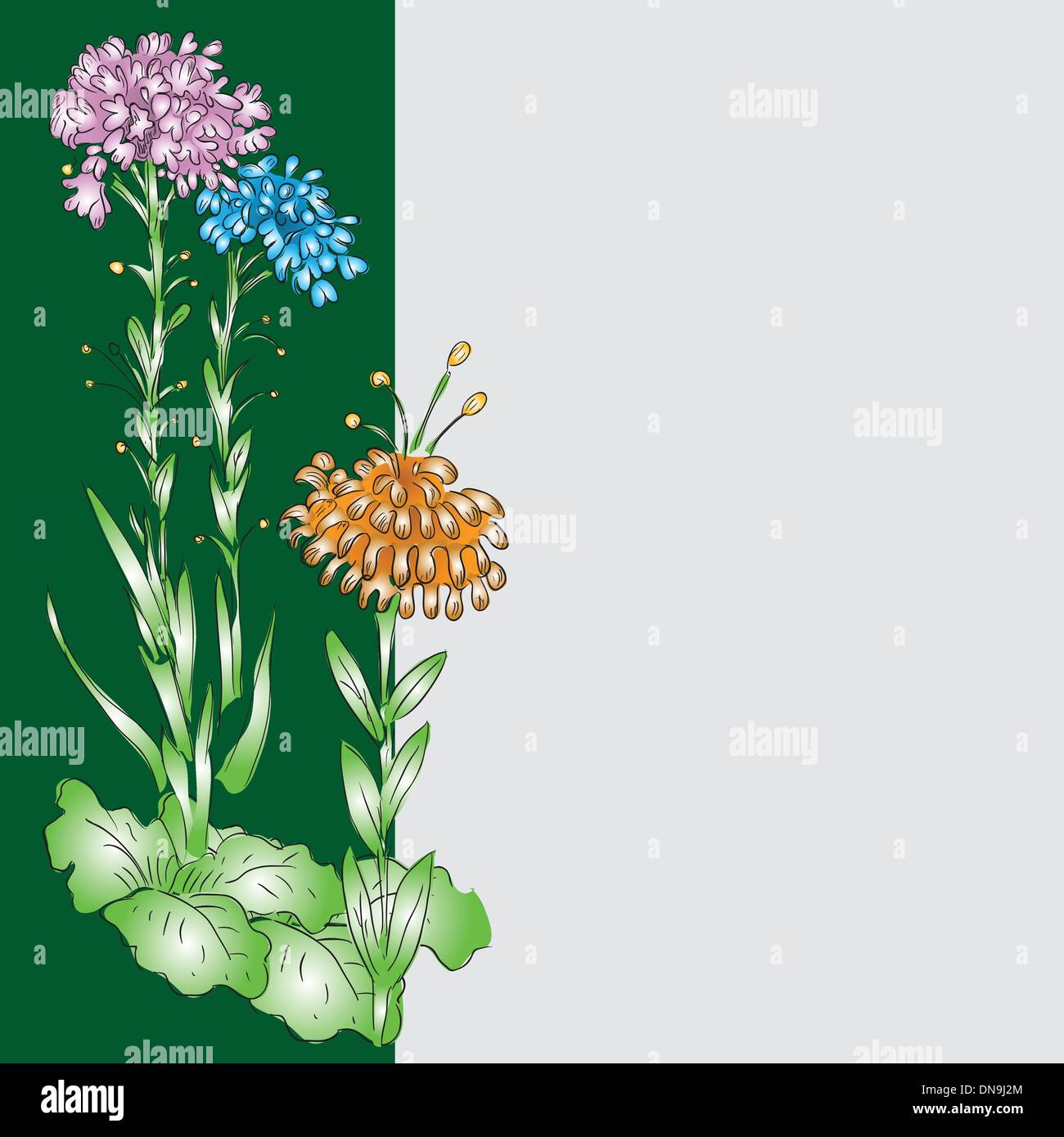 Decorative flowers hi-res stock photography and images - Alamy