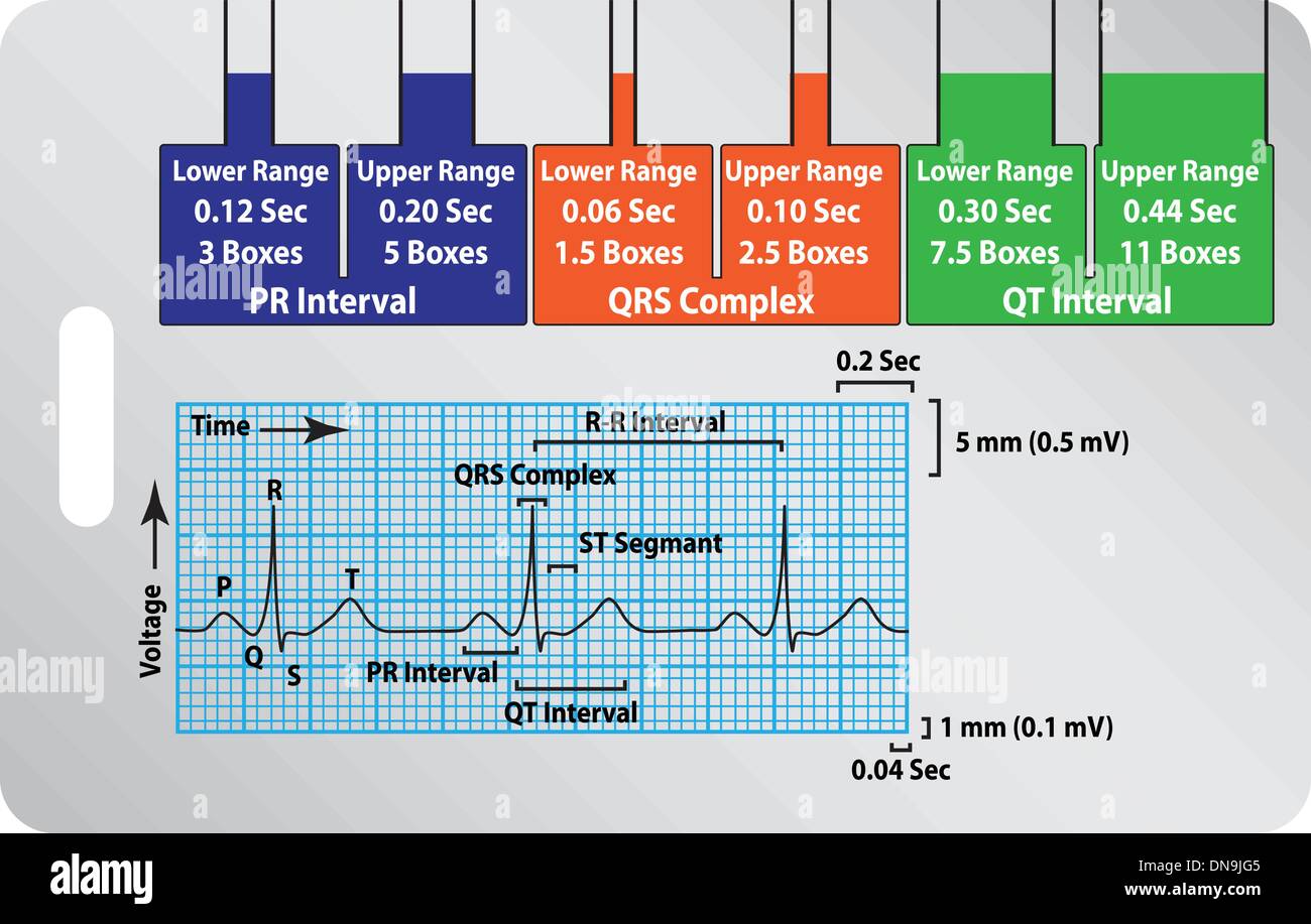 Chest and ecg hi-res stock photography and images - Alamy