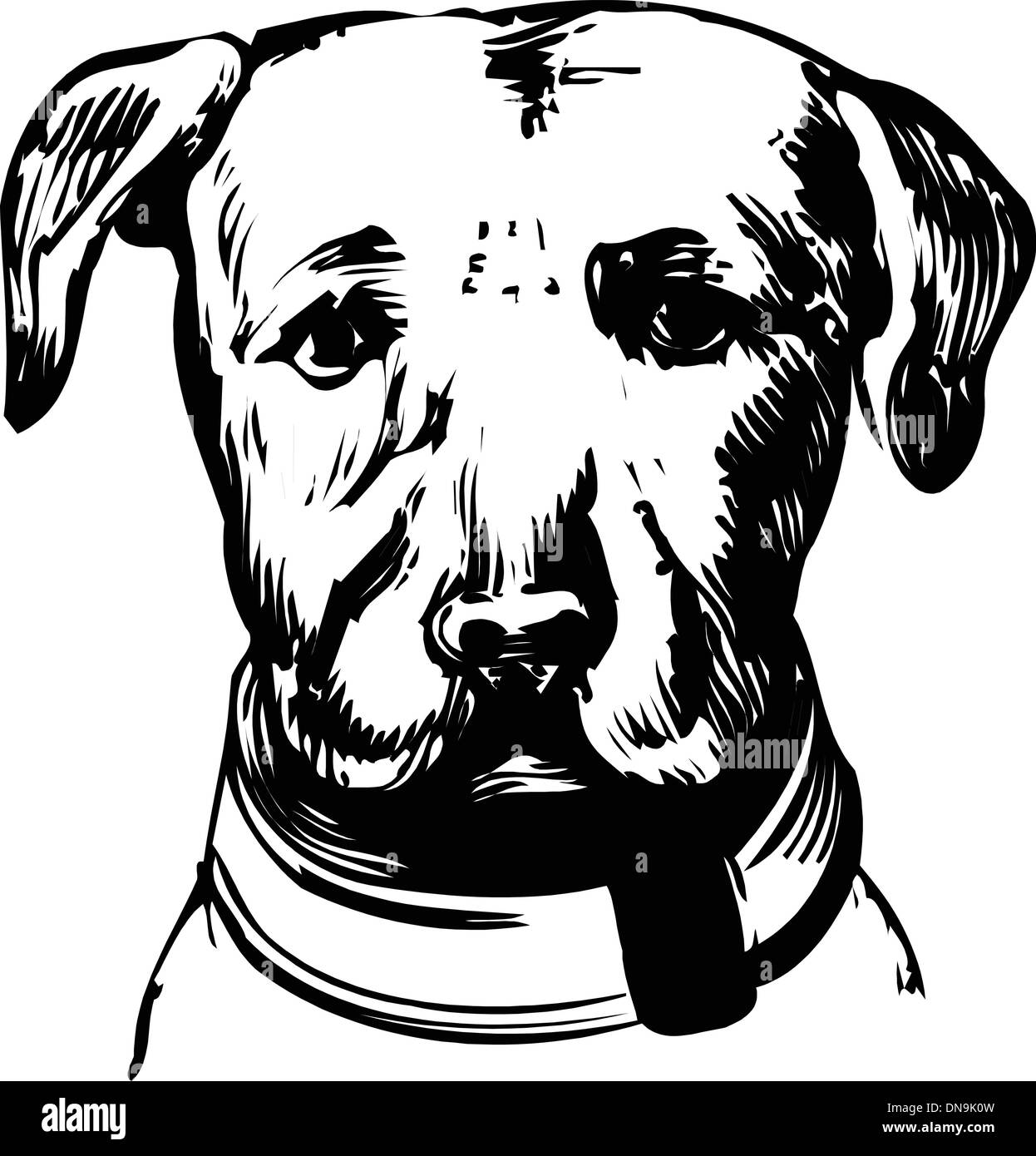 Labrador puppy on white Stock Vector Images - Alamy