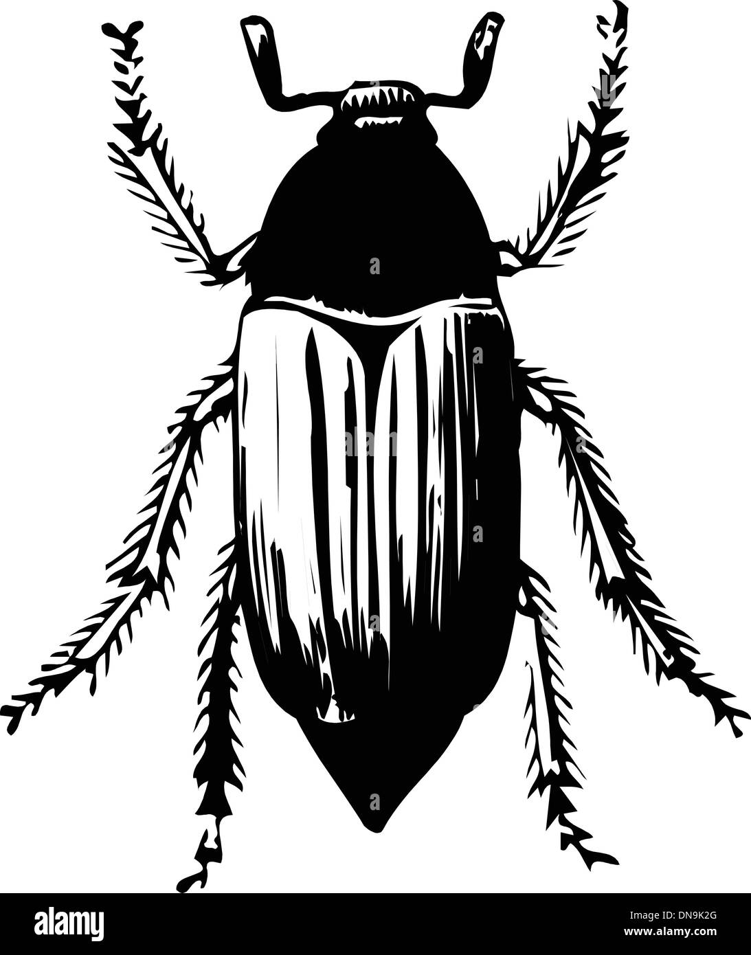 bug silhouette on white background, vector illustration Stock Vector ...