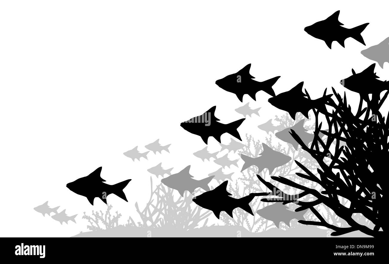 Illustration of fish Black and White Stock Photos & Images - Alamy