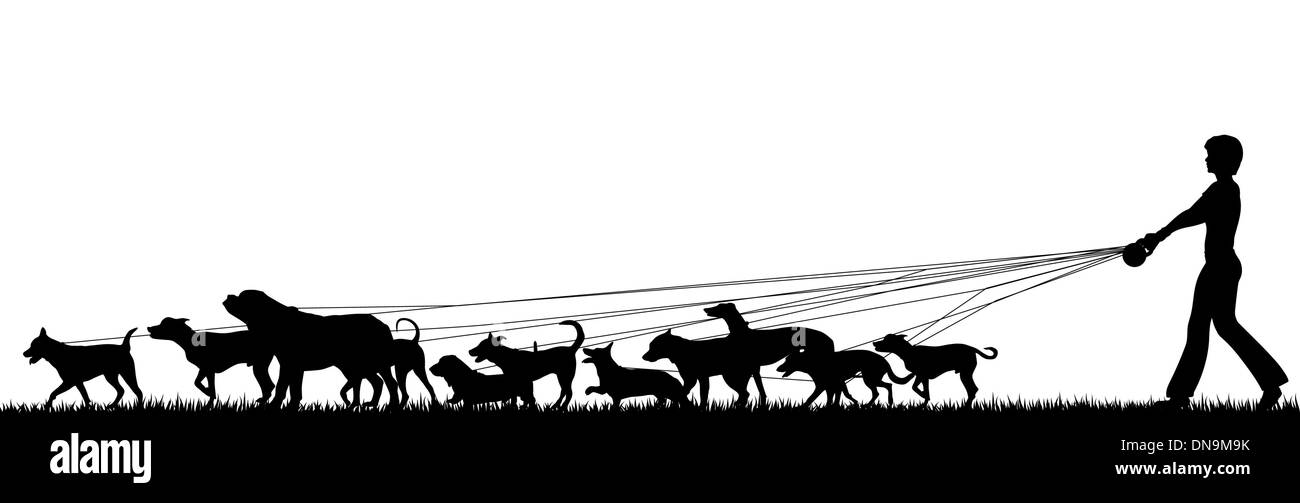Female dog walker Stock Vector Image & Art - Alamy