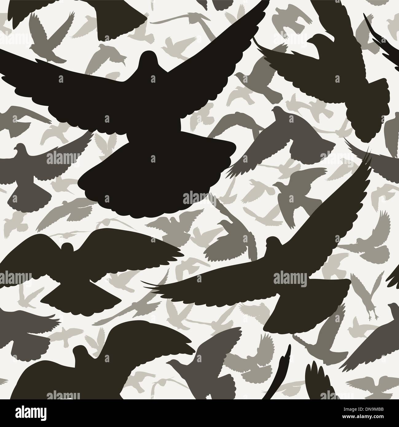 Pigeons background Stock Vector Images - Alamy
