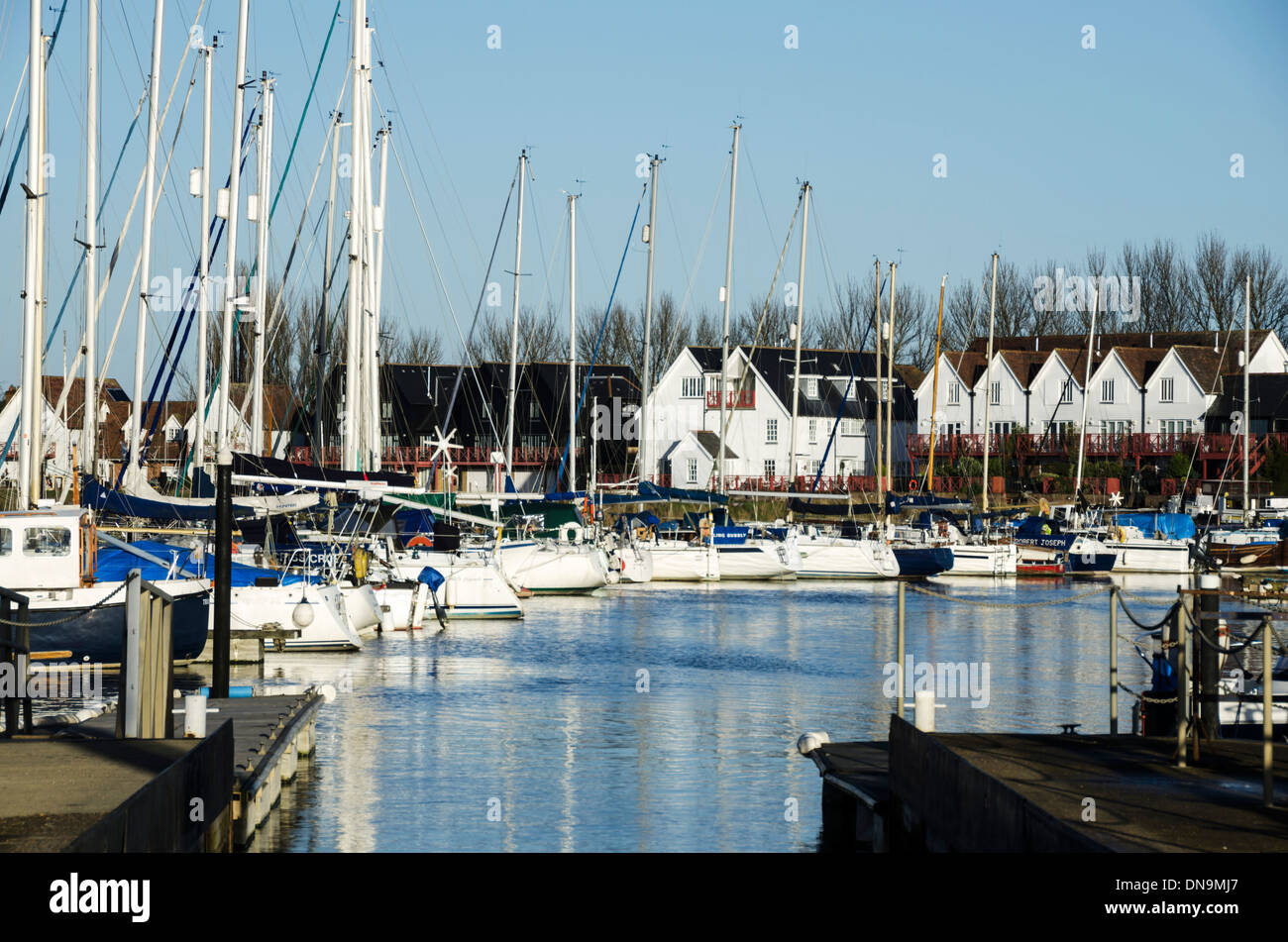 Conyer High Resolution Stock Photography and Images - Alamy