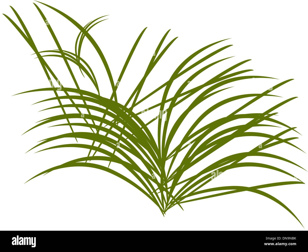 Crocus yellow Stock Vector Images - Alamy