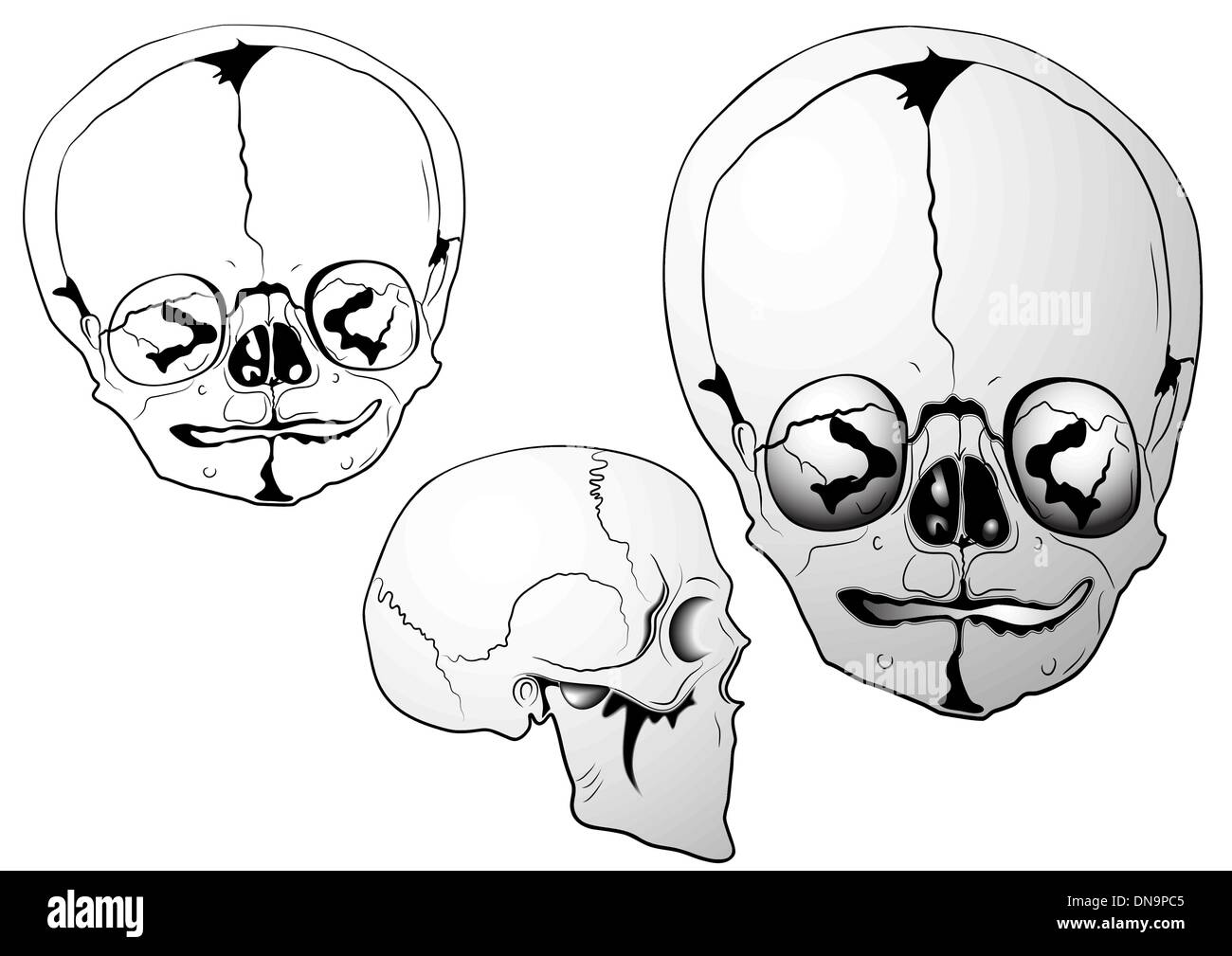Sockets vector vectors hi-res stock photography and images - Alamy