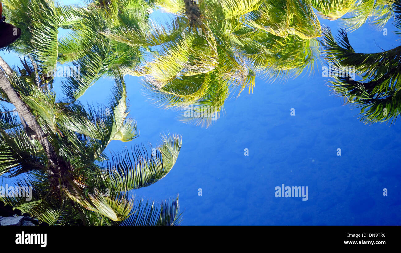 Trees and blue sky reflected in water hi-res stock photography and ...