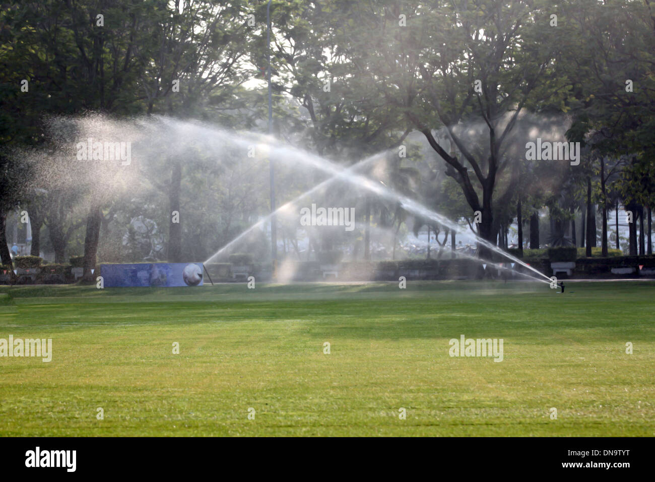 Lawn watering in Morning at Park Stock Photo - Alamy