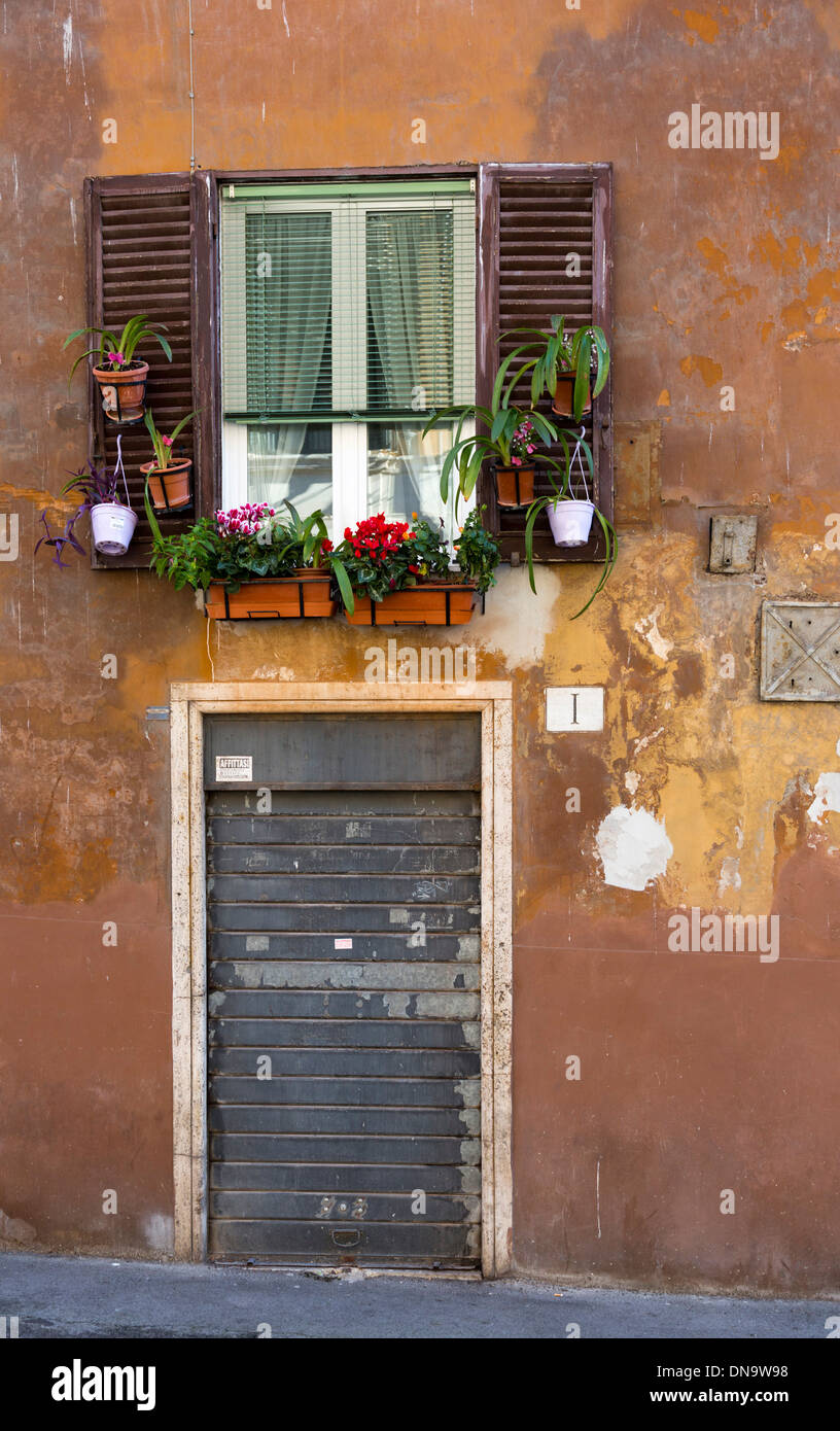 Window with shutters and flowers, old façade in the historic centre of ...