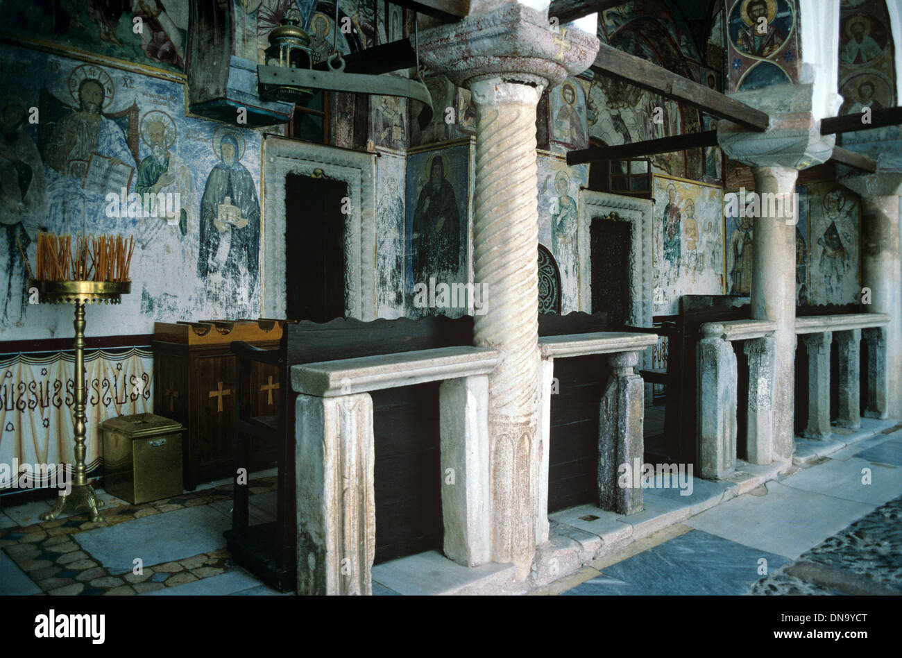 Exonarthex hi-res stock photography and images - Alamy