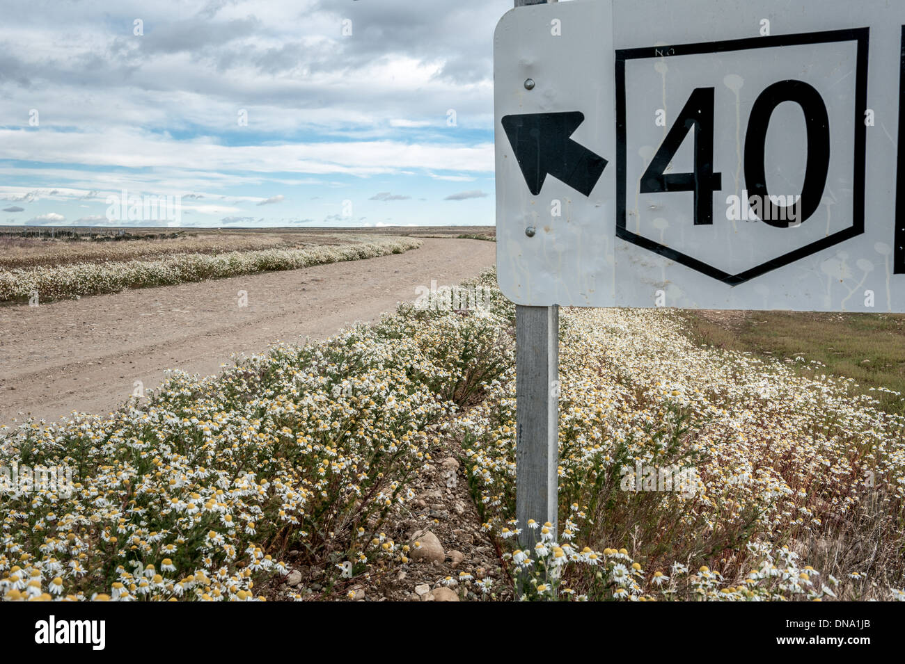 Ruta 40 (route 40) road sign in southern Argentina Stock Photo - Alamy