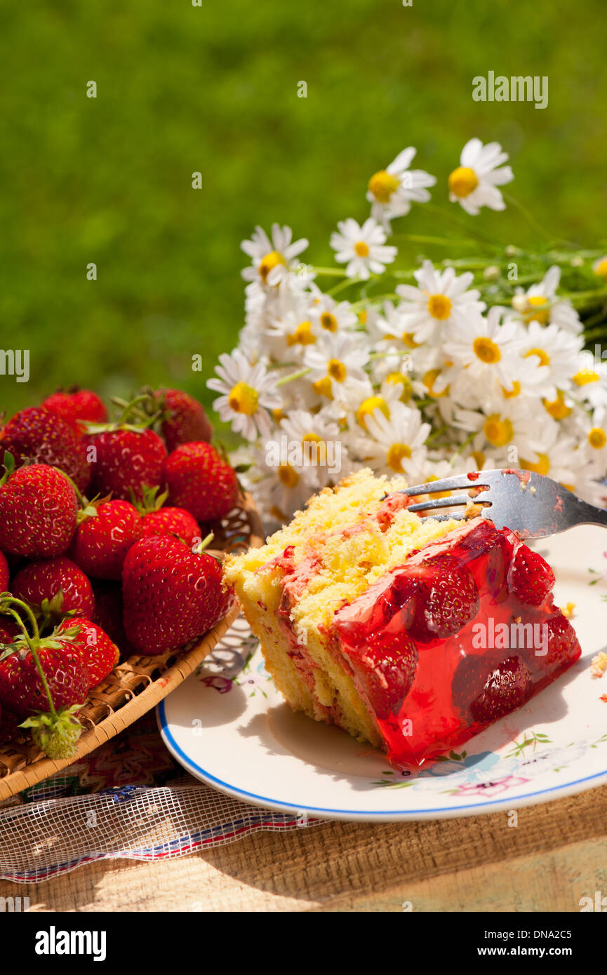 jaffa cake with strawberries and red gelatin Stock Photo - Alamy