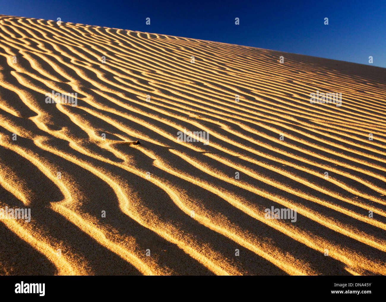 Dune texture hi-res stock photography and images - Alamy