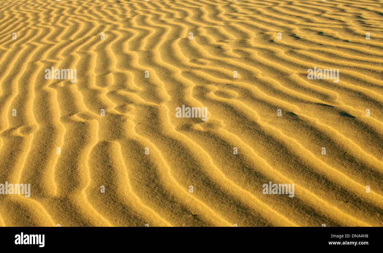 ripples in a sand dune Stock Photo - Alamy