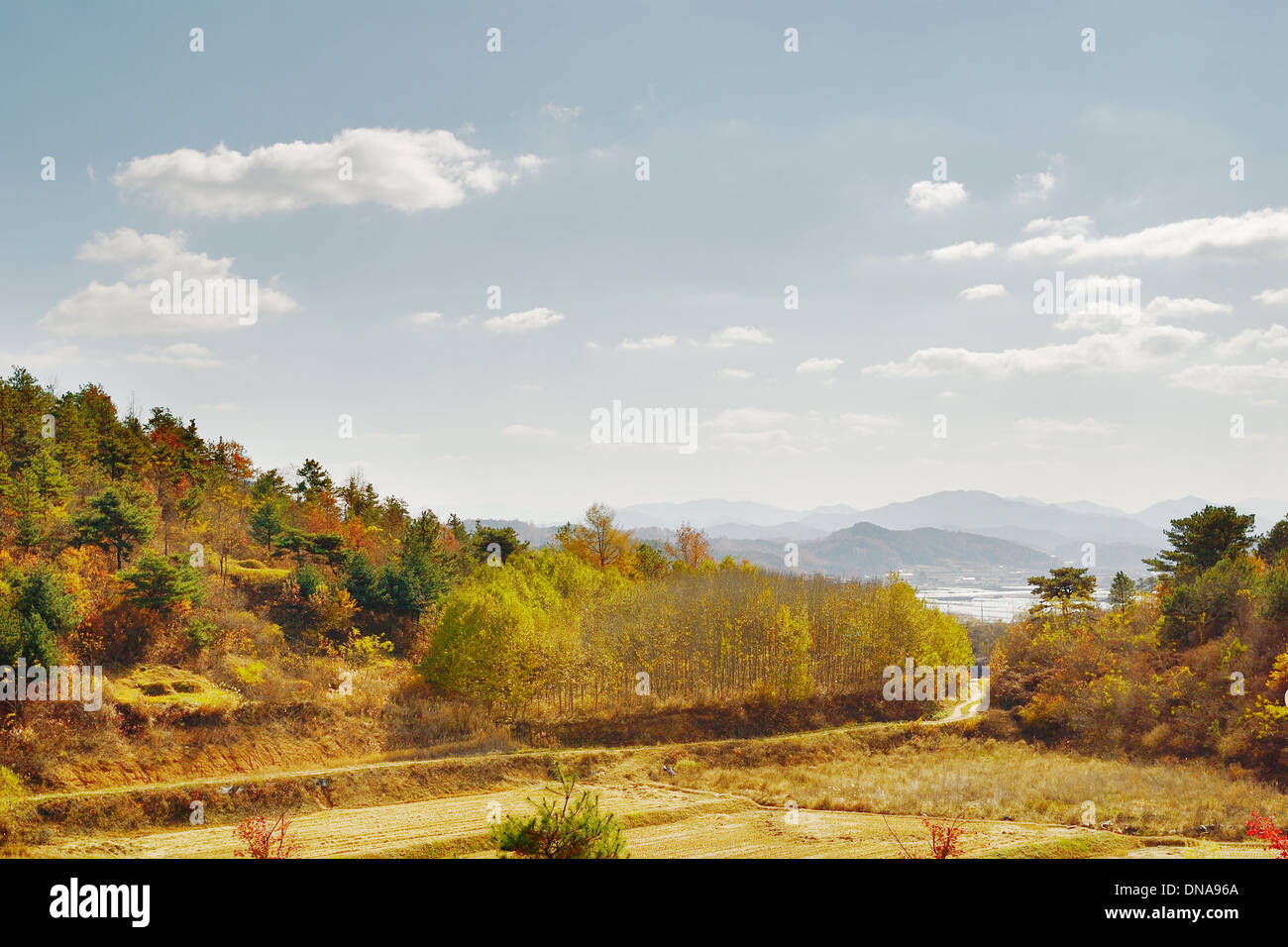 Geumsan korea hi-res stock photography and images - Alamy