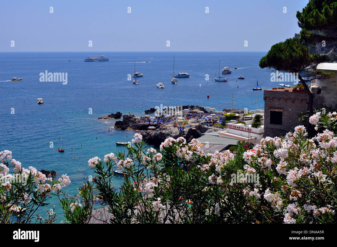 A view of the ocean through flowers in Capri, Italy Stock Photo - Alamy
