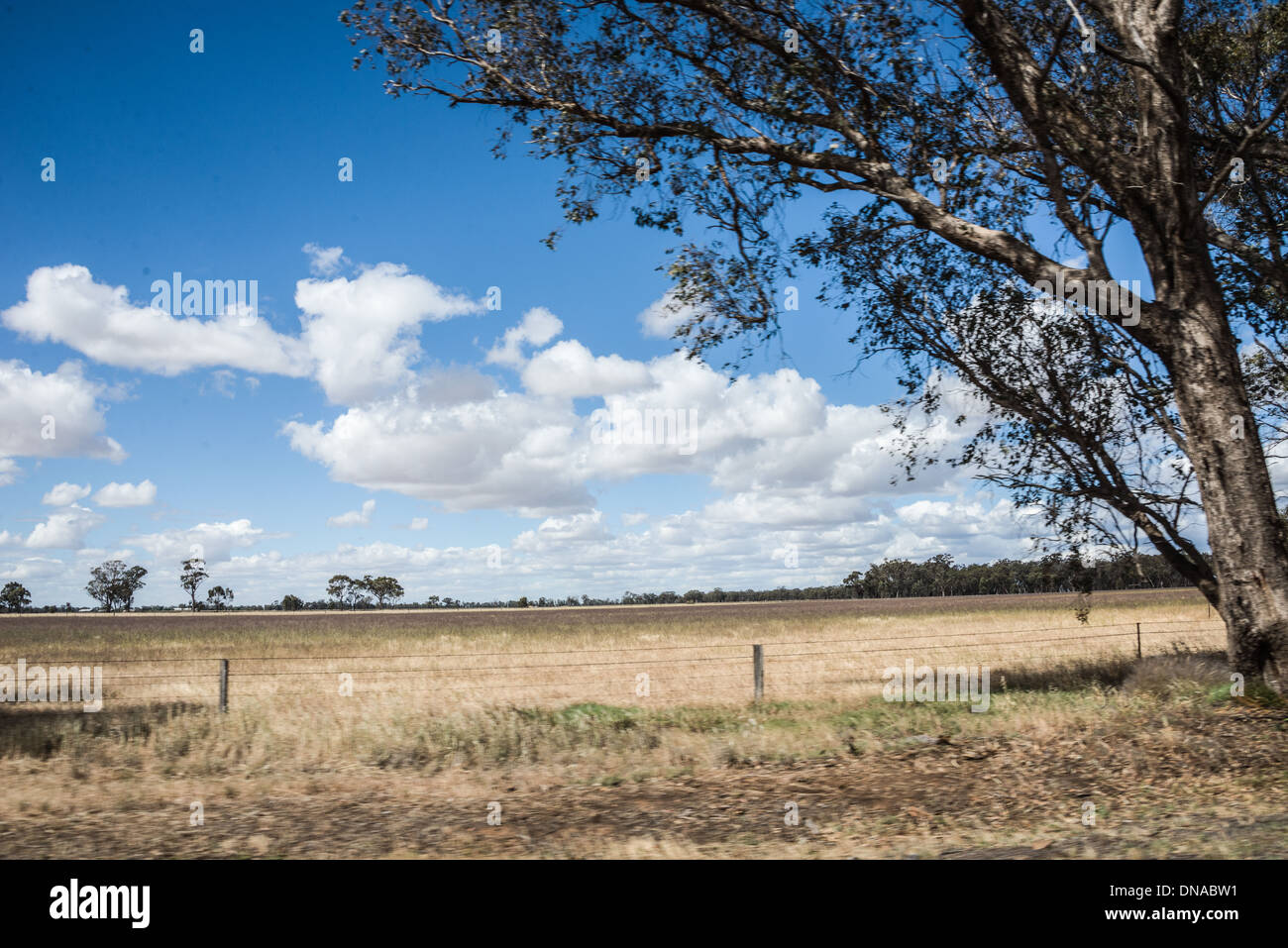 Rural Australian Countryside paddocks fields with big blue skies dry ...