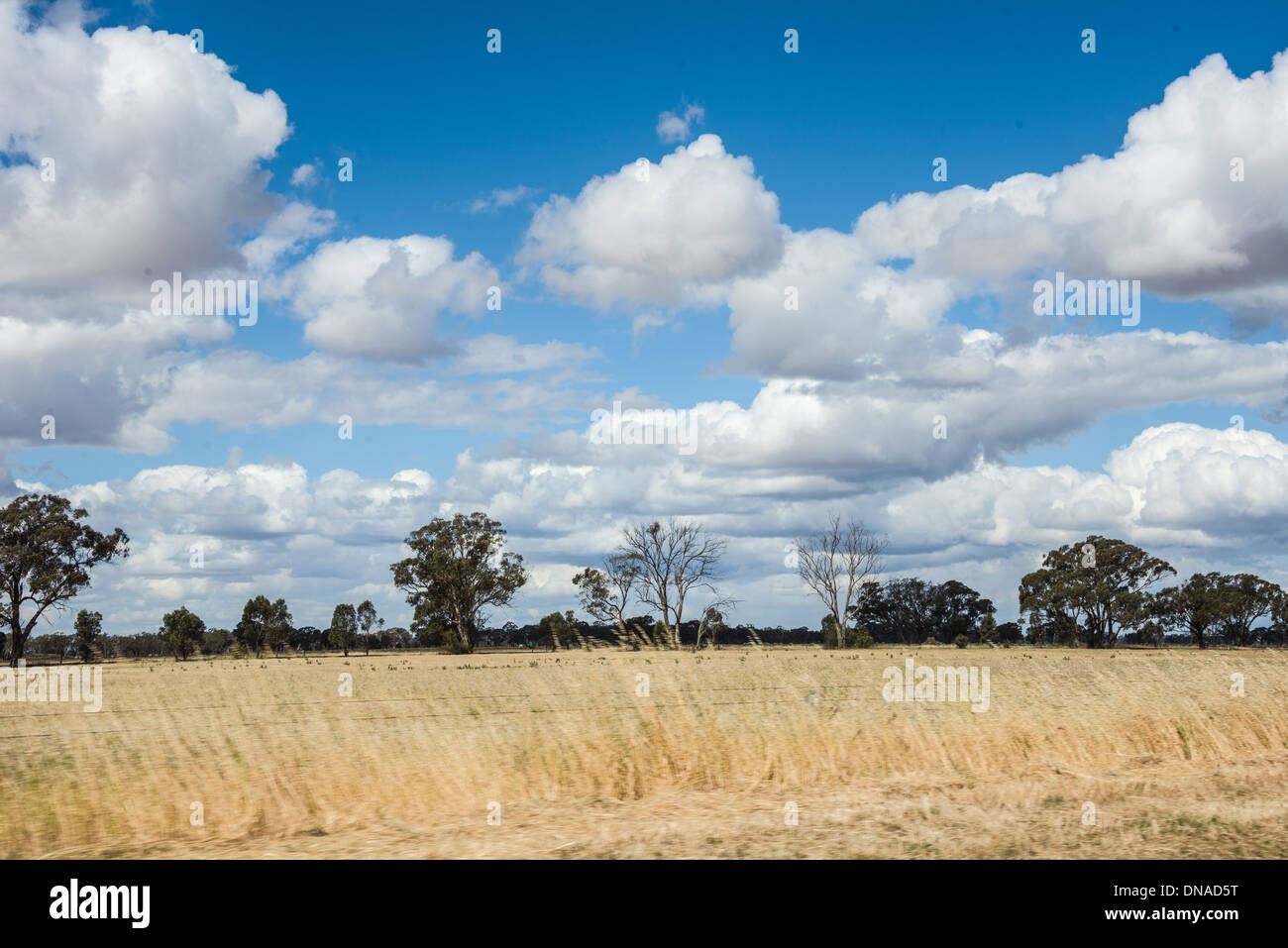 Rural Australian Countryside paddocks fields with big blue skies dry ...
