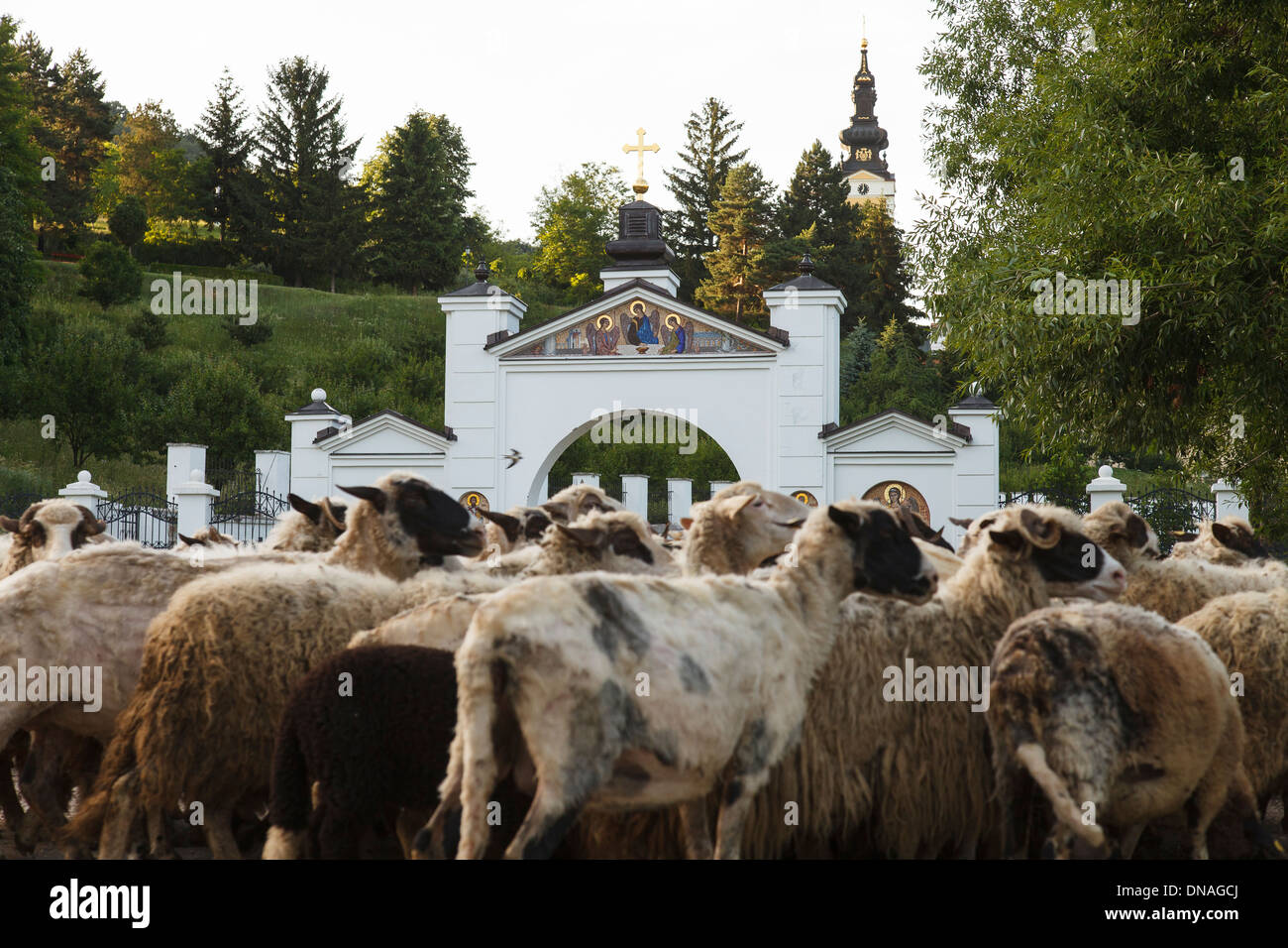 Grgeteg, Orthodox monastery on the Fruška Gora mountain in the northern ...