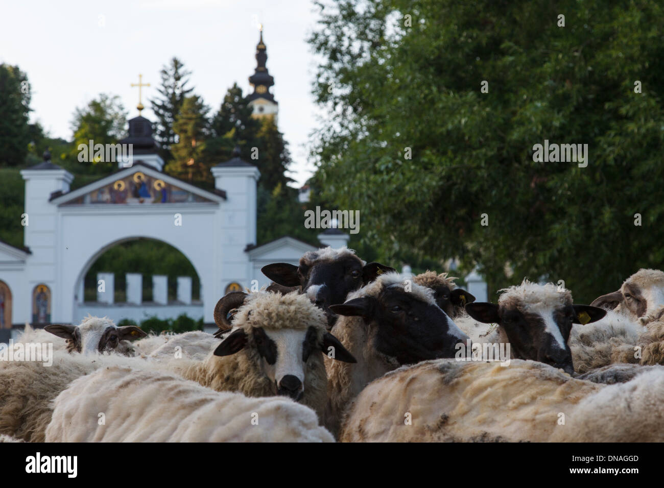 Gora mountain hi-res stock photography and images - Alamy