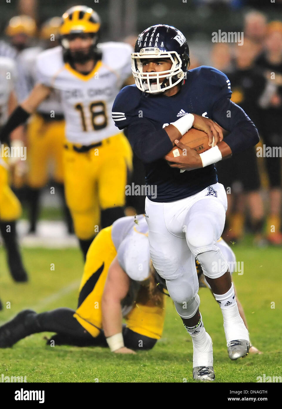 Golden rufus hi-res stock photography and images - Alamy