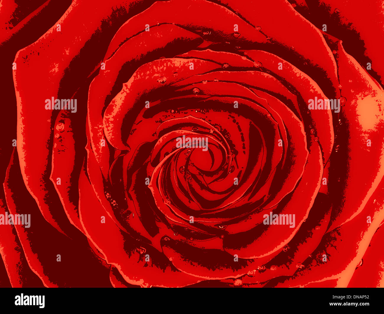 Abstract flower illustration hi-res stock photography and images - Alamy
