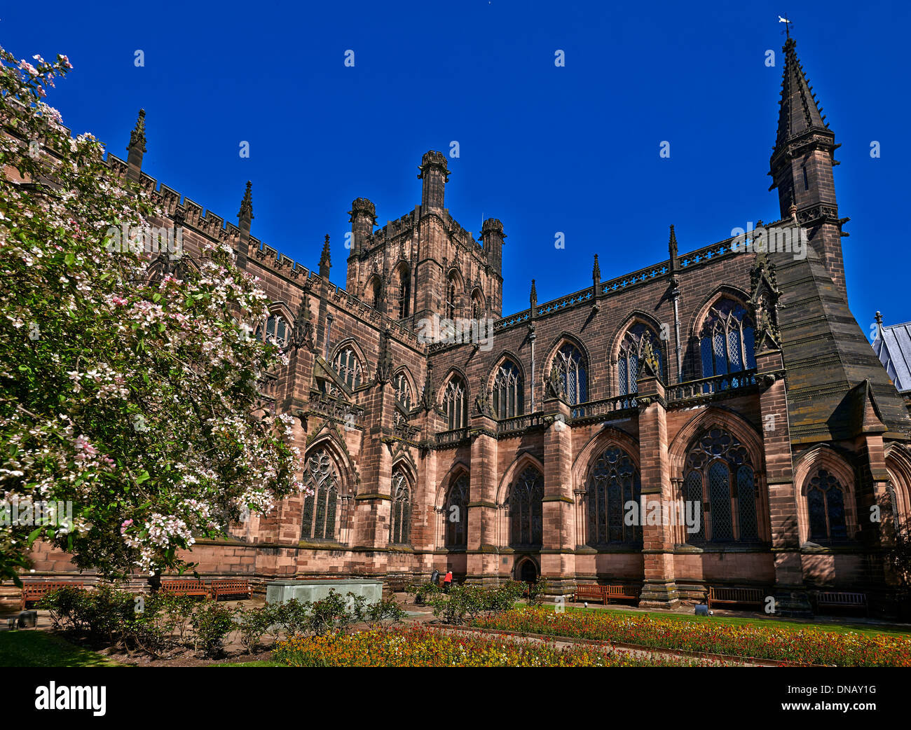 Chest v2 hi-res stock photography and images - Alamy