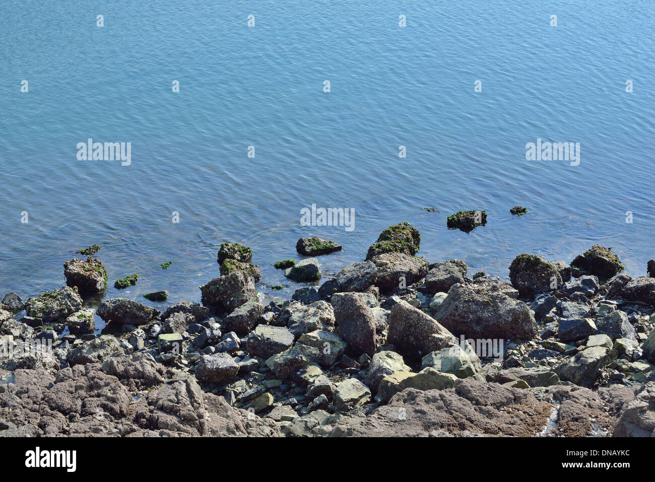stones and waved water in shore Stock Photo - Alamy