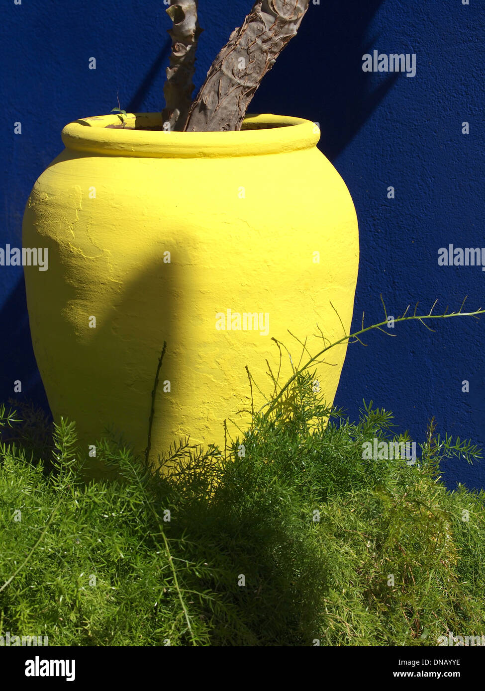 Yellow clay hi-res stock photography and images - Alamy