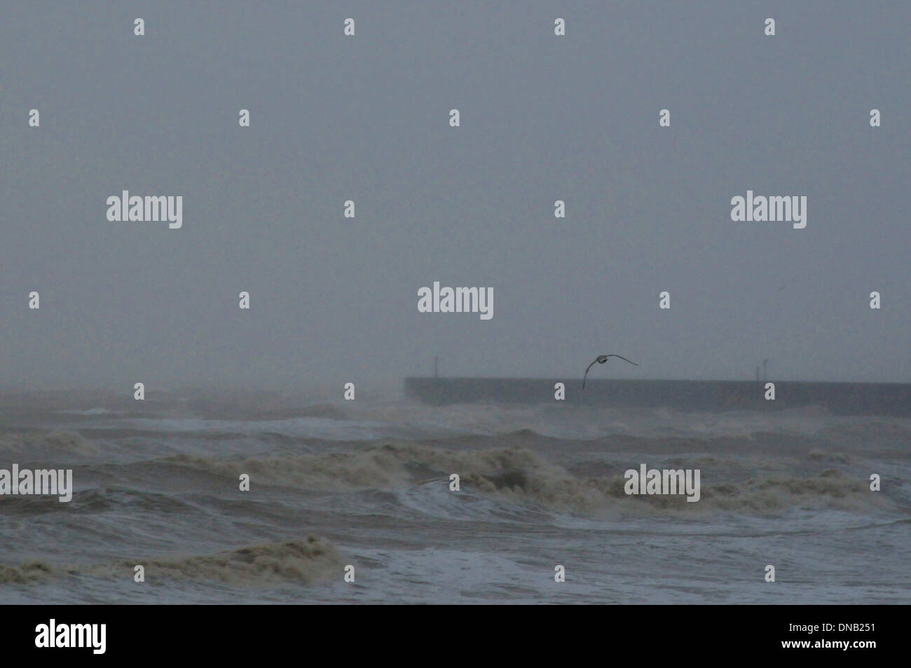 Shoreham, West Sussex, UK. 21st Dec 2013. Boiling surf and increasing ...