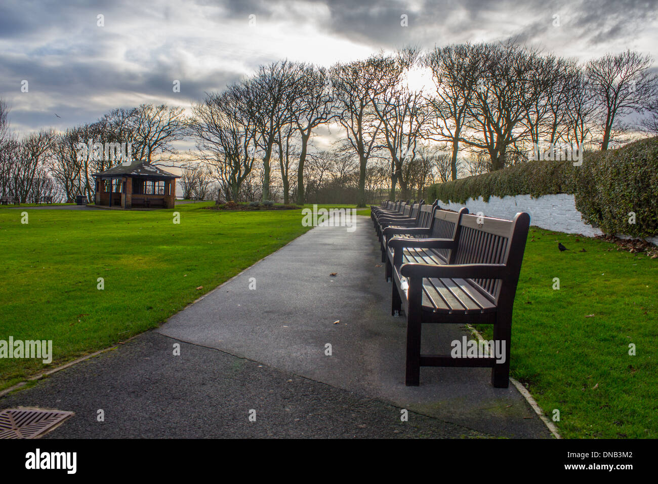 Benches and trees hi-res stock photography and images - Alamy
