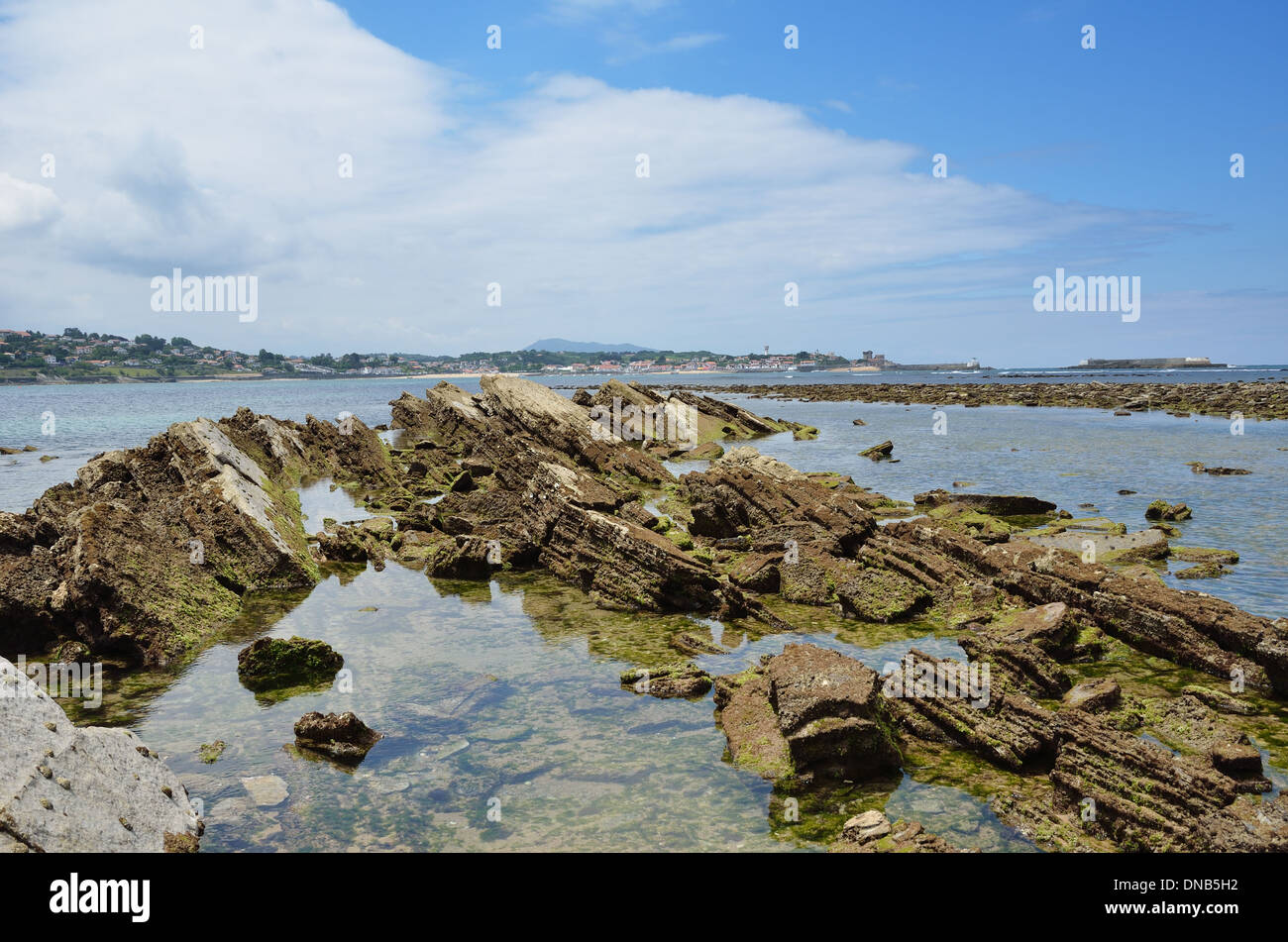 Atlantic seabed hi-res stock photography and images - Alamy