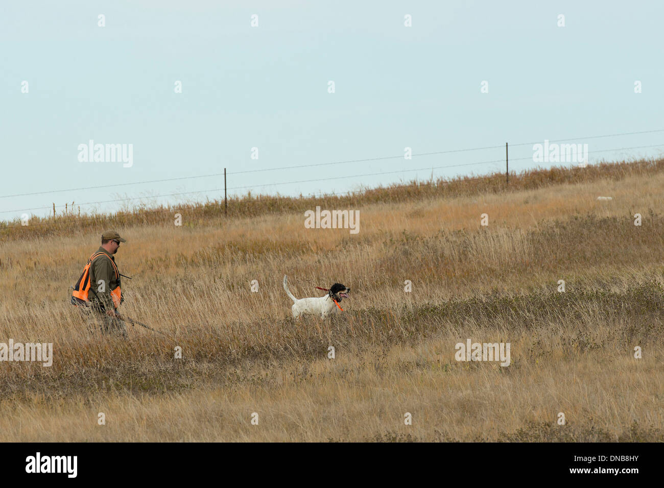 Hunter and his dog Stock Photo - Alamy