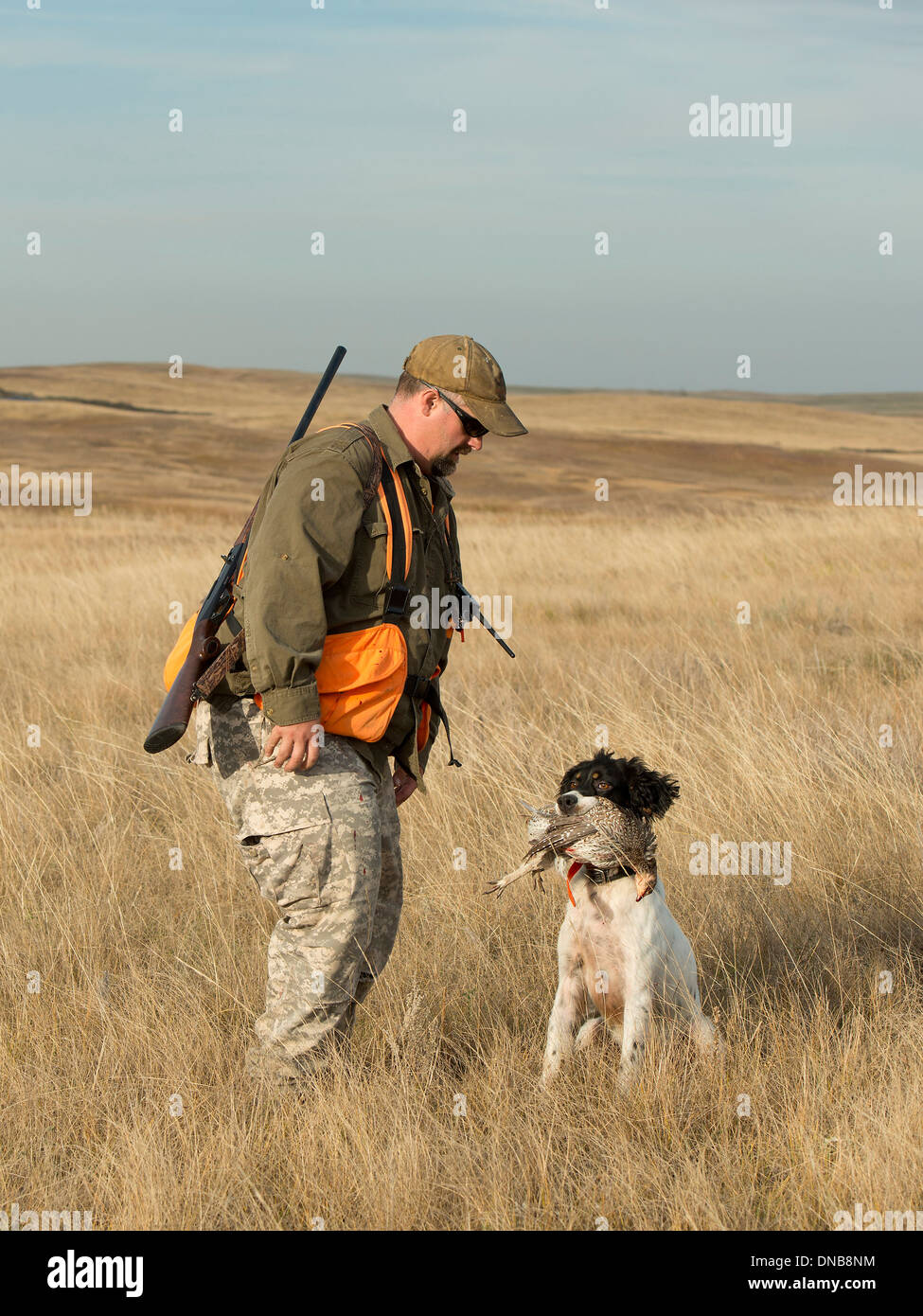 A Hunter and his dog Stock Photo - Alamy