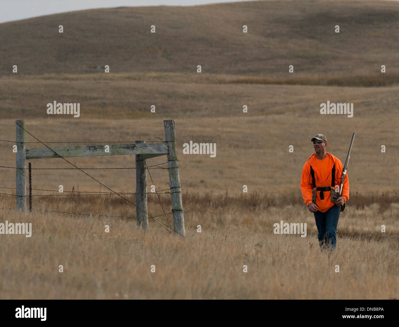 Bird Hunter out on the prairie in North Dakota Stock Photo - Alamy
