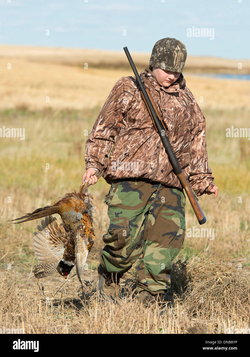 Boy bird hunt hi-res stock photography and images - Alamy