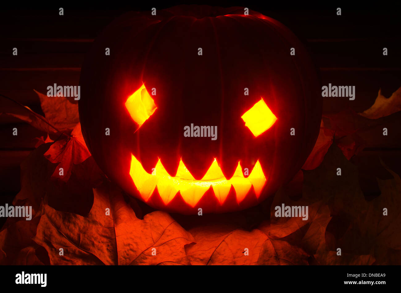 Jack o lantern Halloweens pumpkin on dark dried leaves glowing eyes and ...