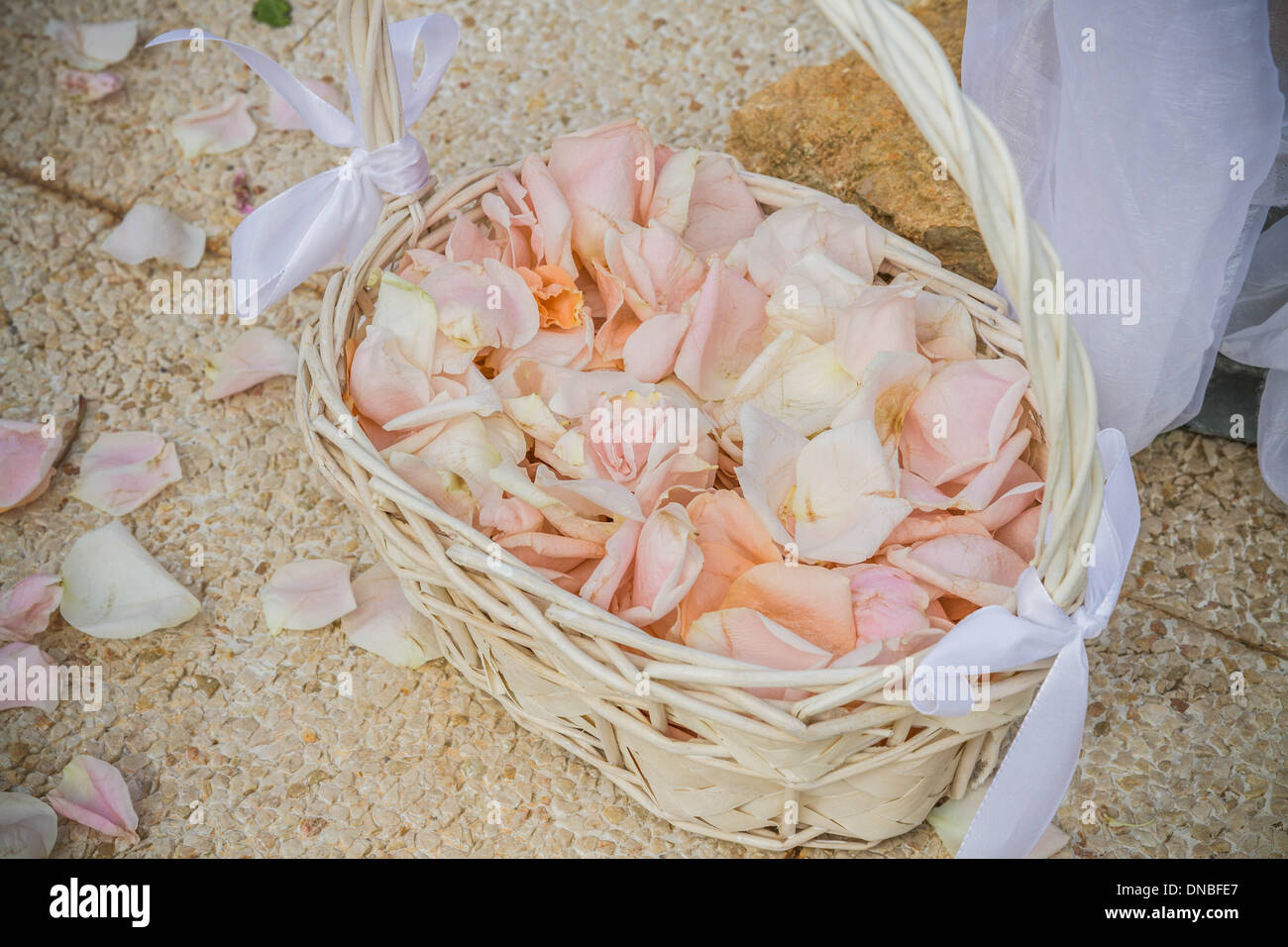 Wedding day flower petals Stock Photo - Alamy