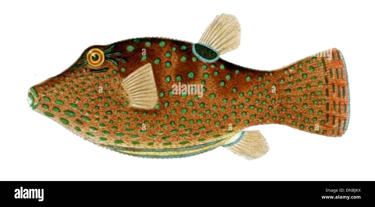 Sharp reefs hi-res stock photography and images - Alamy