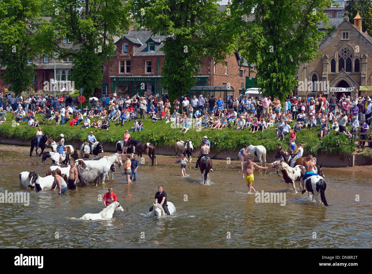 Gypsy travellers with horses in River Eden. Appleby Horse Fair. Appleby ...