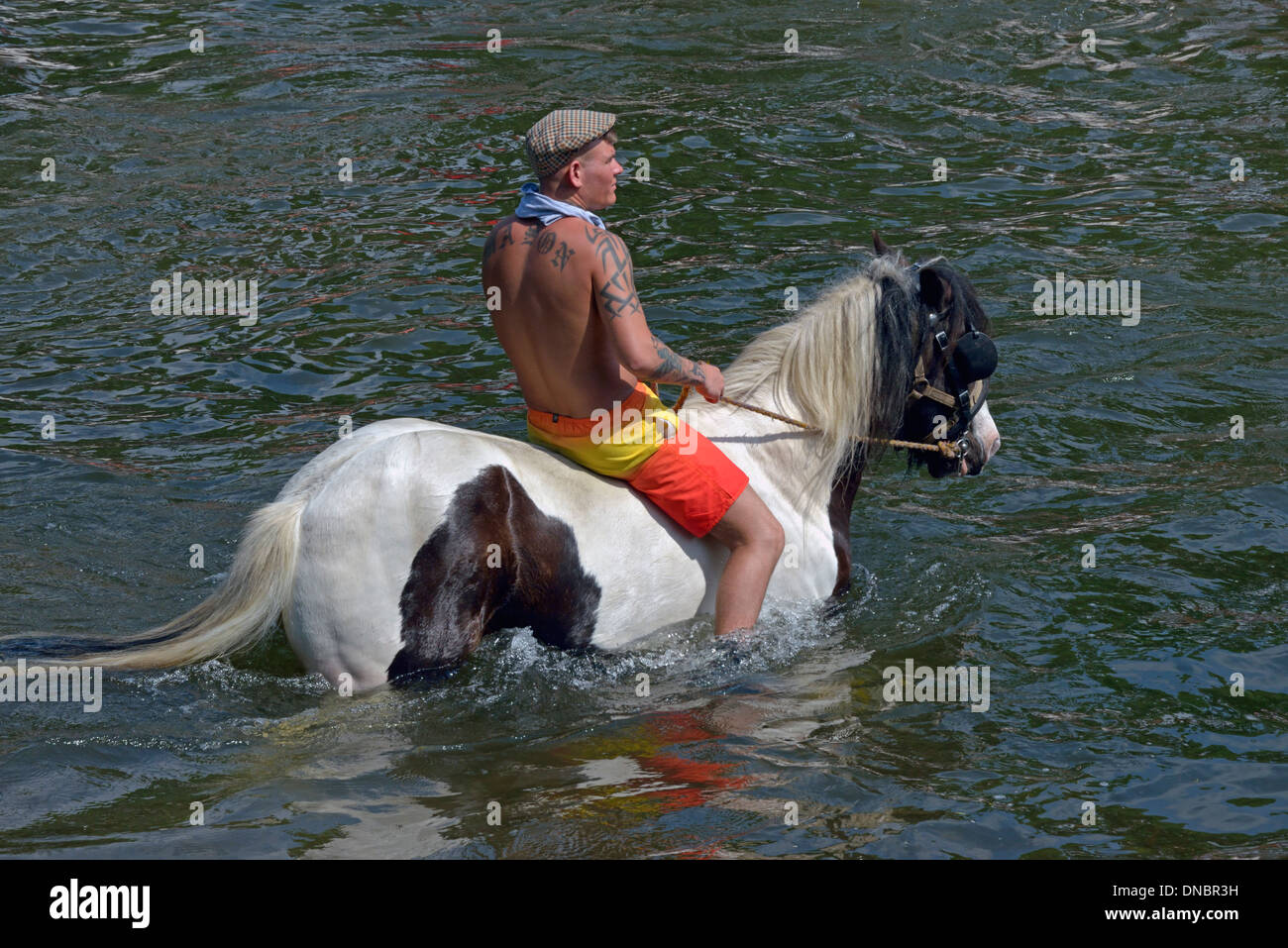 Gypsy traveller riding horse in River Eden. Appleby Horse Fair, Appleby ...